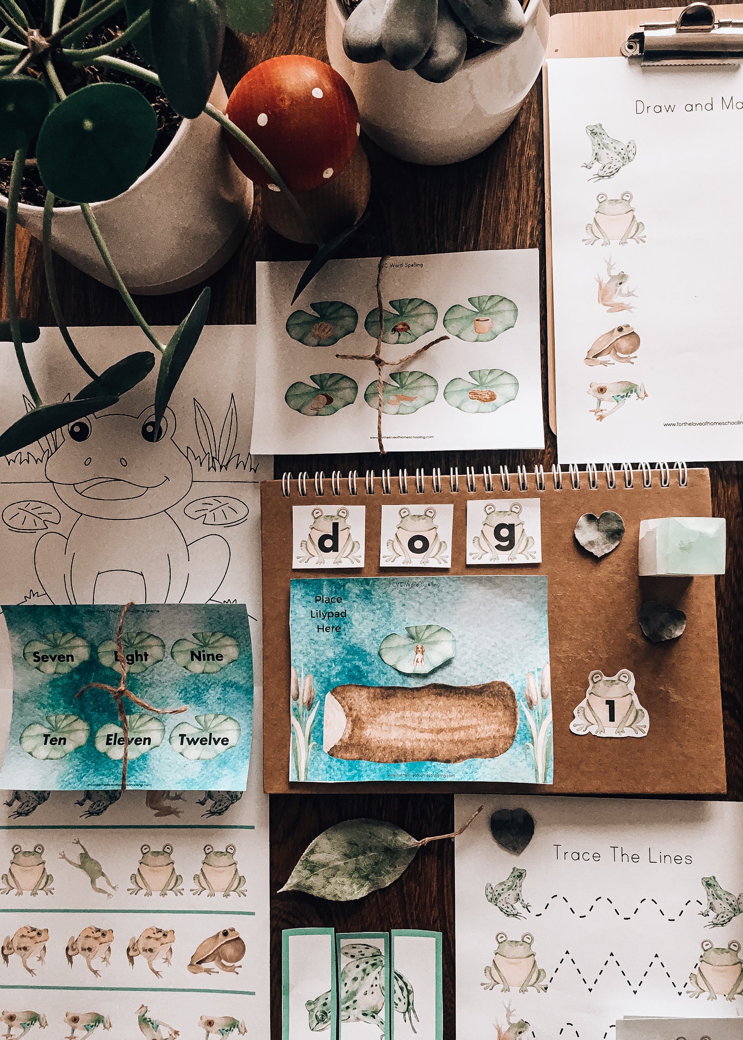 Frog Themed Learning Pack - Etsy