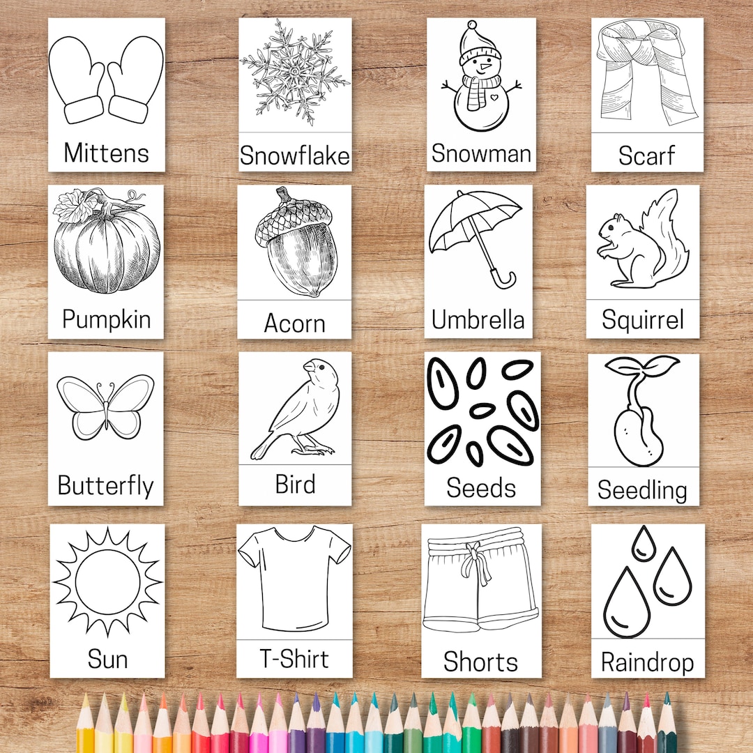 Make Your Own Four Seasons Flashcards and 3 Part Cards - Etsy