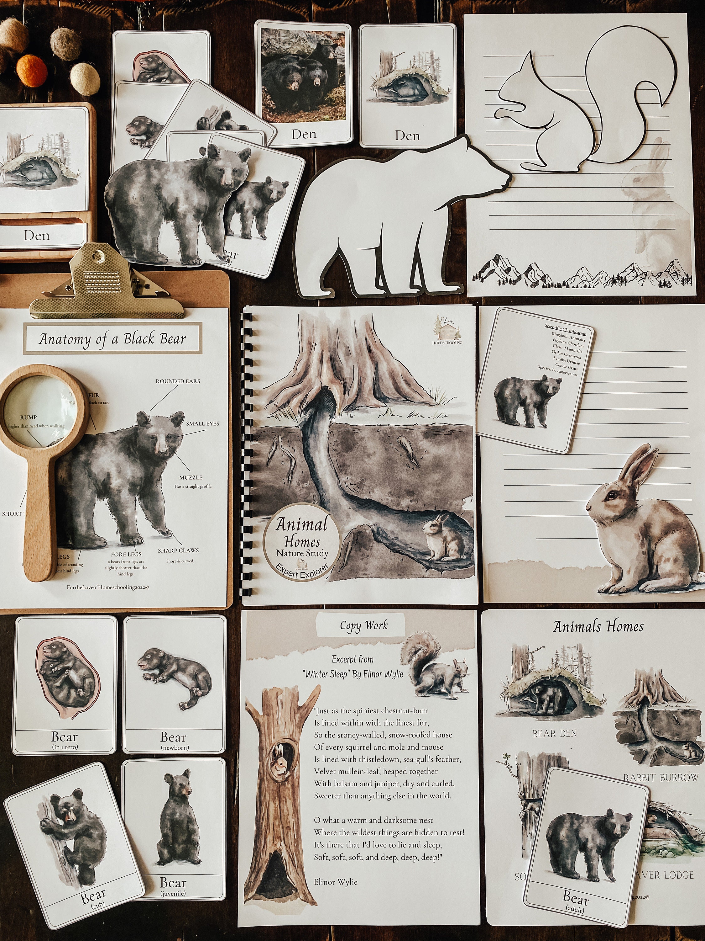 Animal Homes Nature Study - Etsy