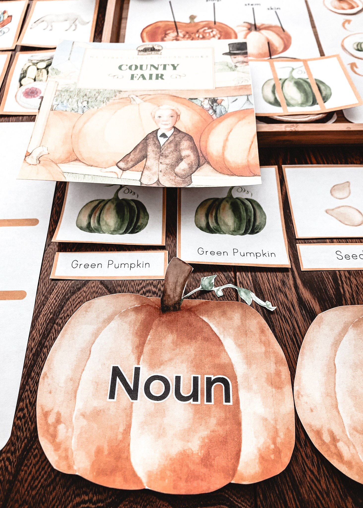 The County Fair Book Themed Learning Pack - Etsy