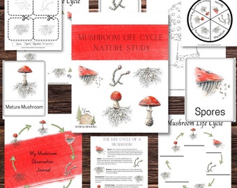 Mushroom Life Cycle Poster, Fungi Nature Study, Homeschool Educational ...