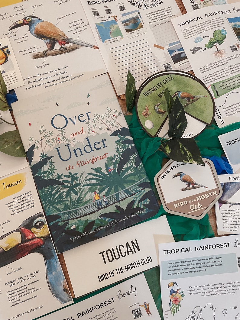 Plate-billed Mountain Toucan Nature Study - Etsy