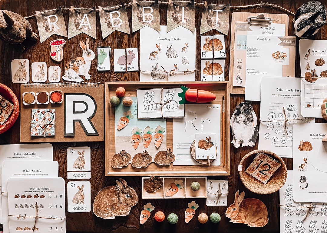 R is for Rabbit Early Learning Pack - Etsy