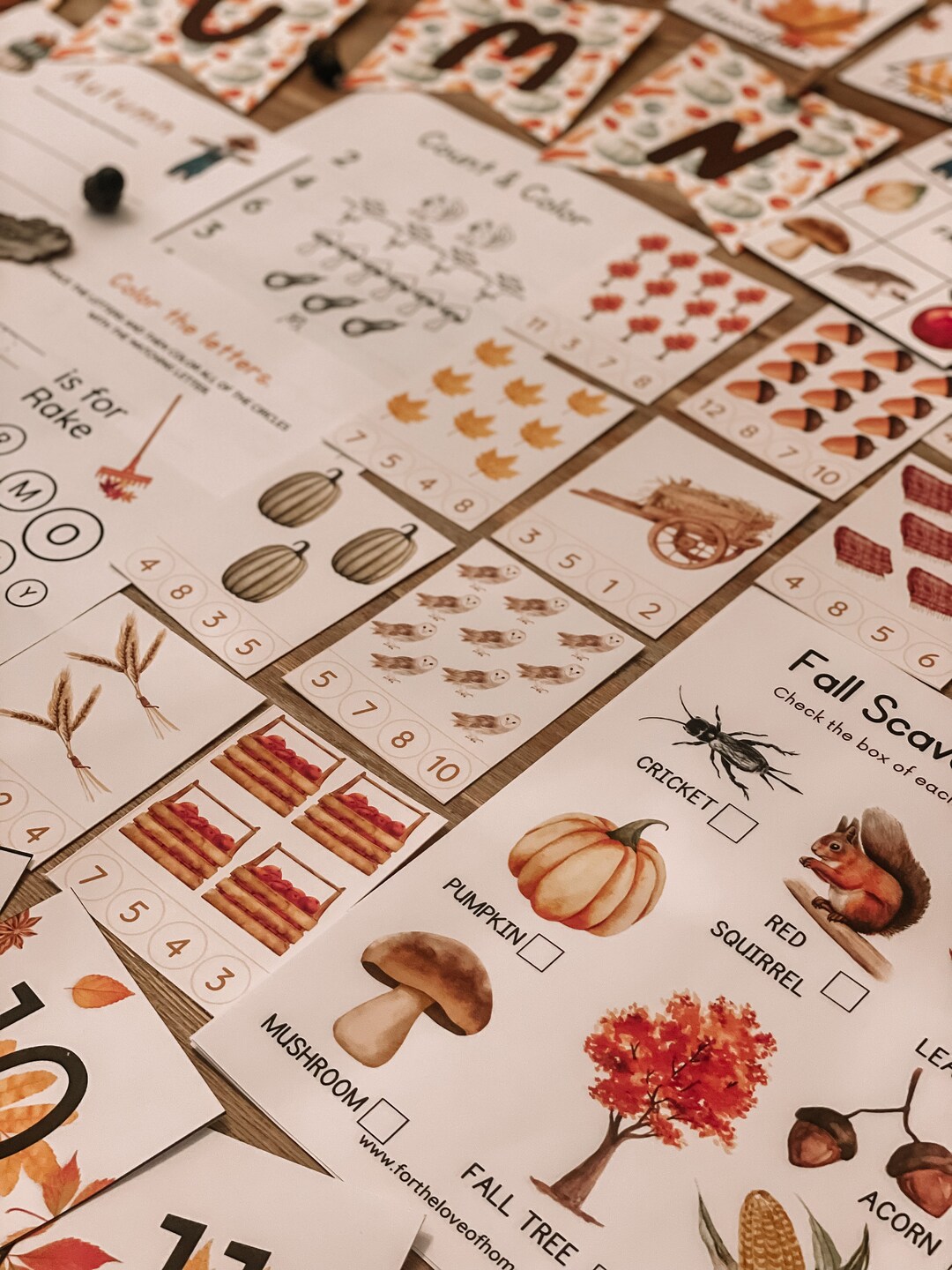 Fall Learning Pack - Etsy