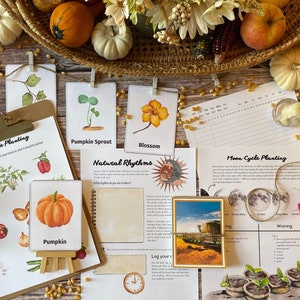 Harvest Nature Study - Etsy