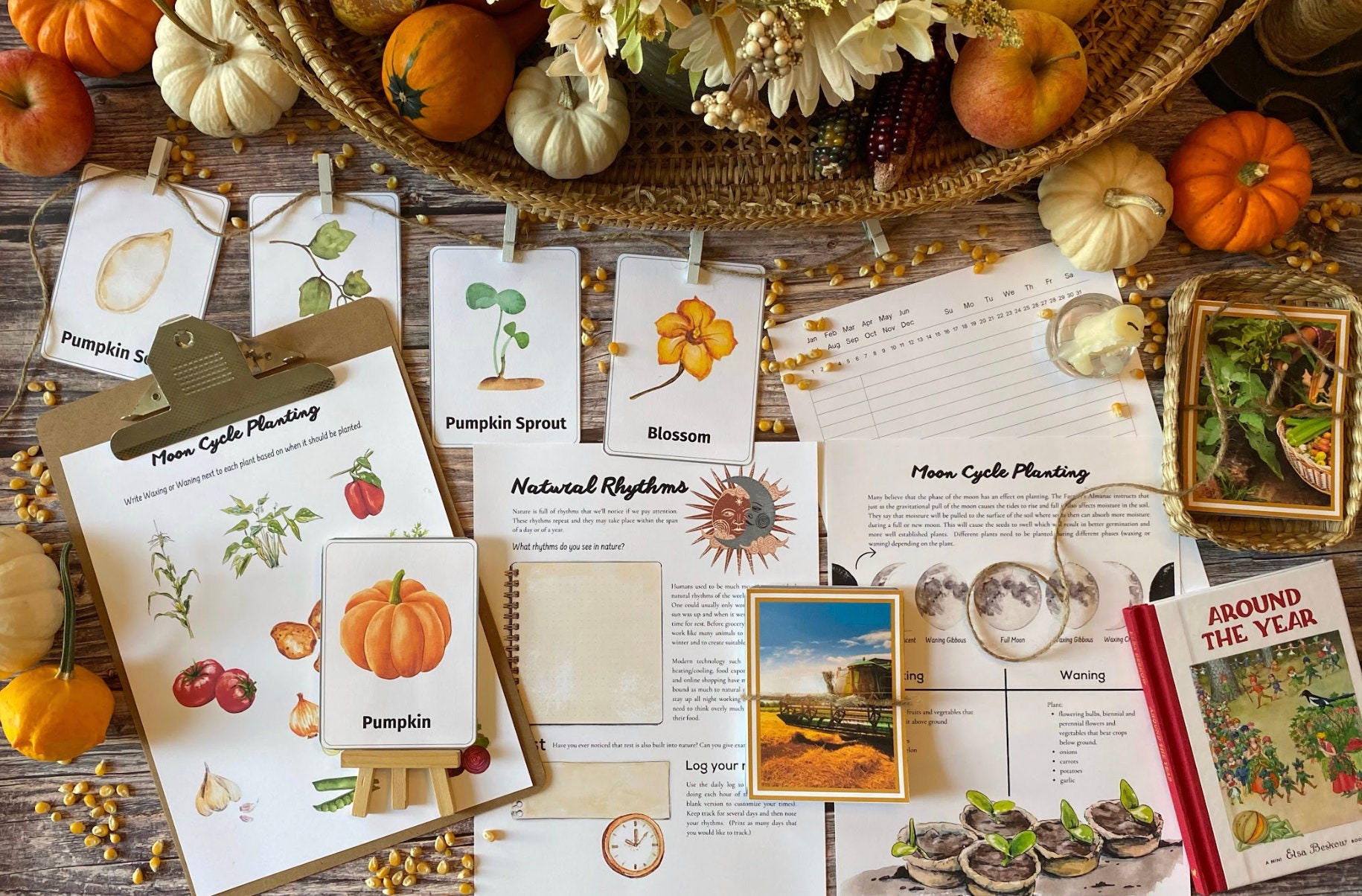 Harvest Nature Study - Etsy