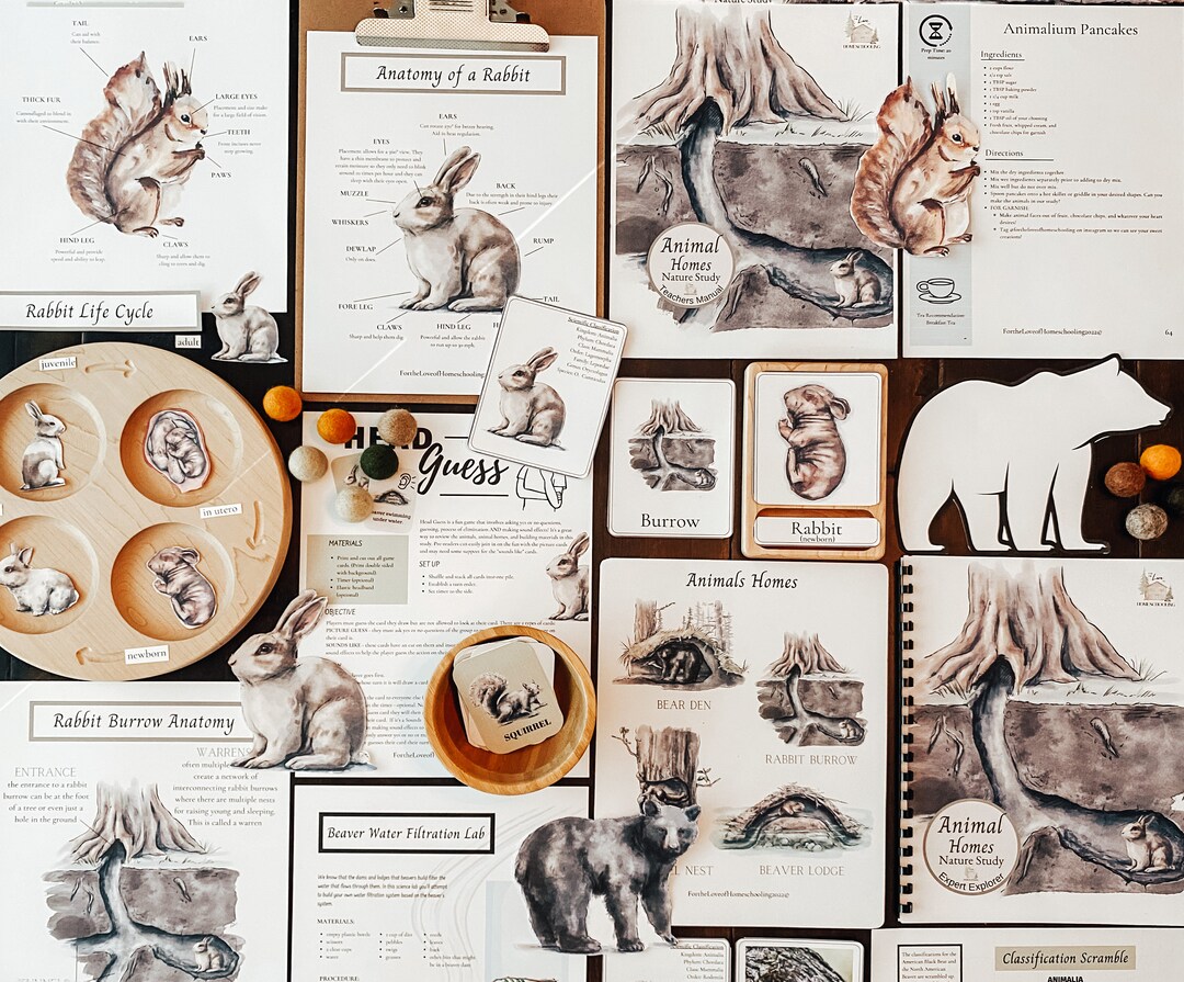 Animal Homes Nature Study - Etsy