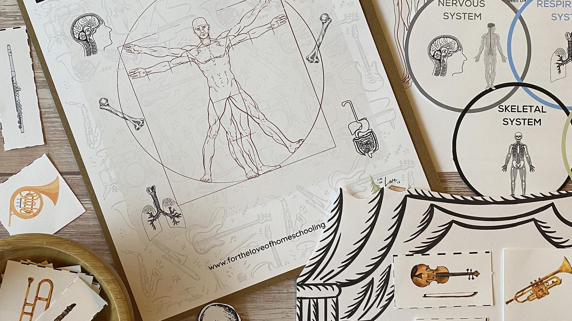 Human Body Mini Bundle - Etsy