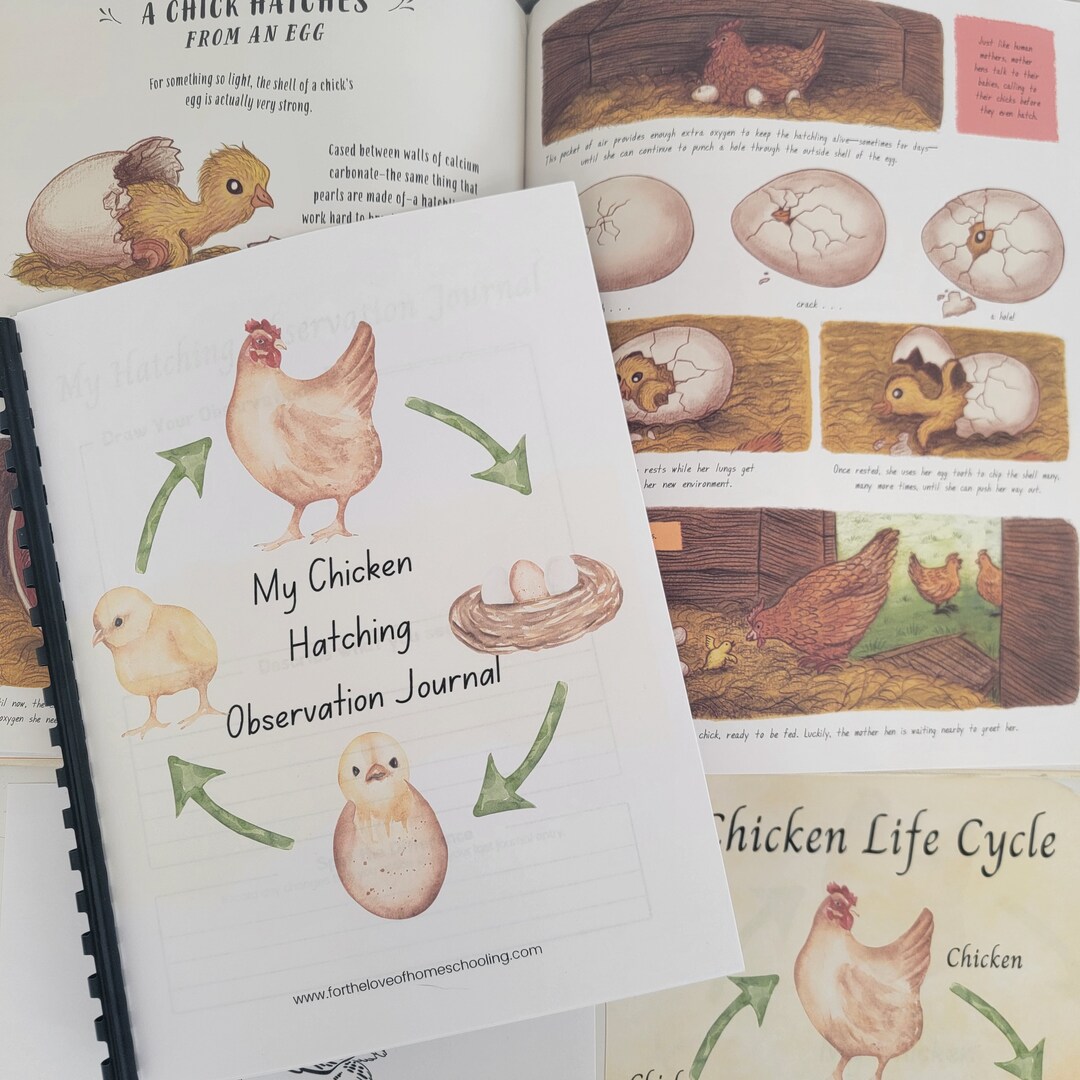 Chicken Hatching Observation Journal - Etsy