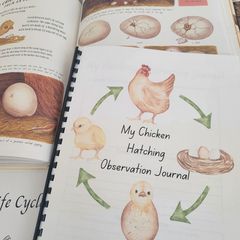 Chicken Hatching Observation Journal - Etsy