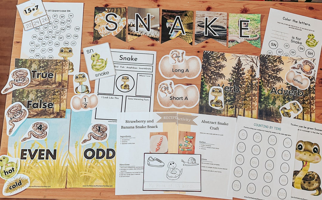 SN is for Snake Learning Pack - Etsy