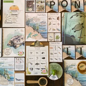 Pond Life Nature Study Unit - Etsy