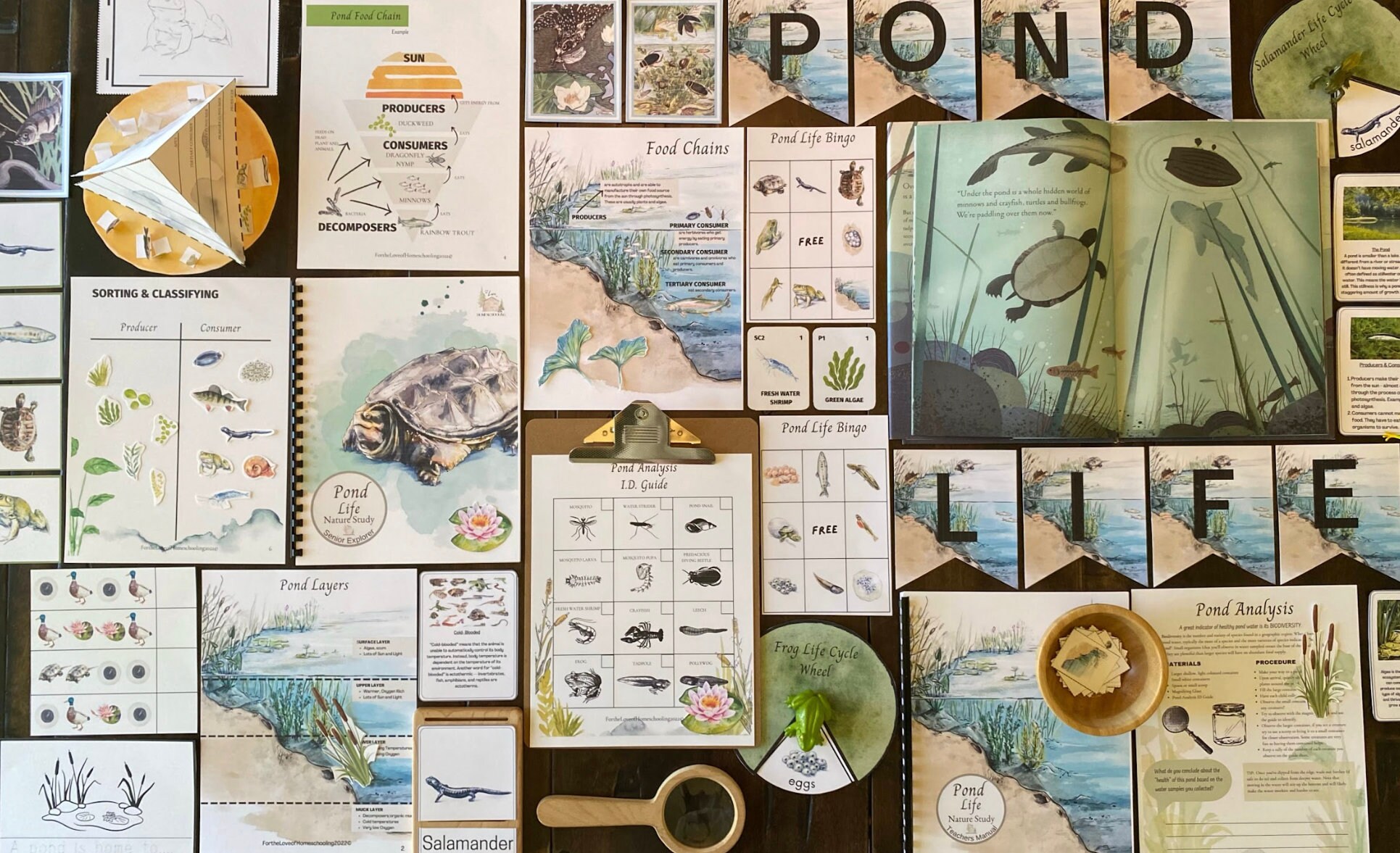 Pond Life Nature Study Unit - Etsy