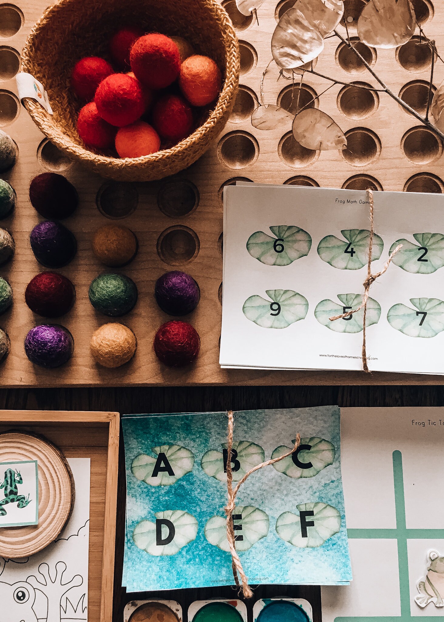 Frog Themed Learning Pack - Etsy