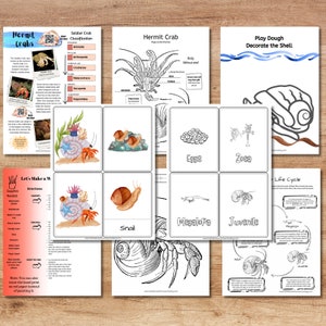 Math in Nature Pi Inquiry & A Backyard Field Study - Etsy