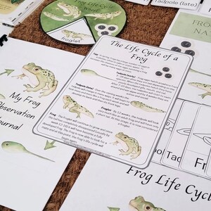 Frog Life Cycle Nature Study - Etsy