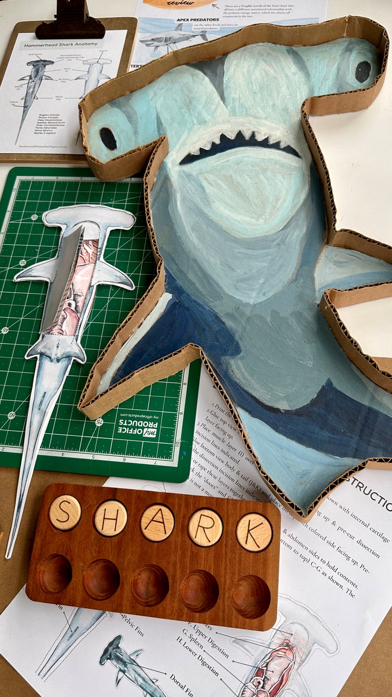 Hammerhead Shark Dissection - Etsy