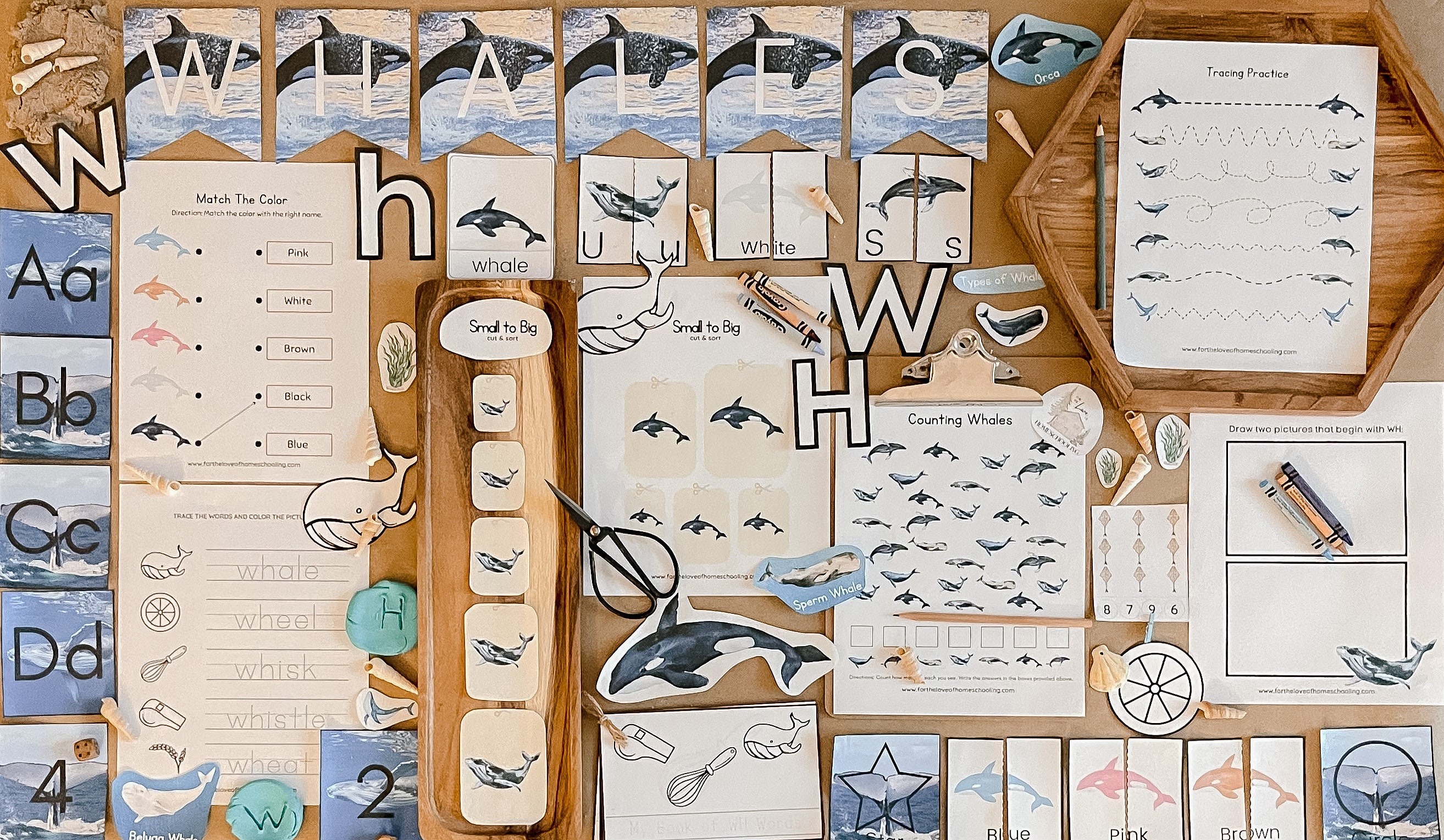 WH is for Whale Learning Pack - Etsy