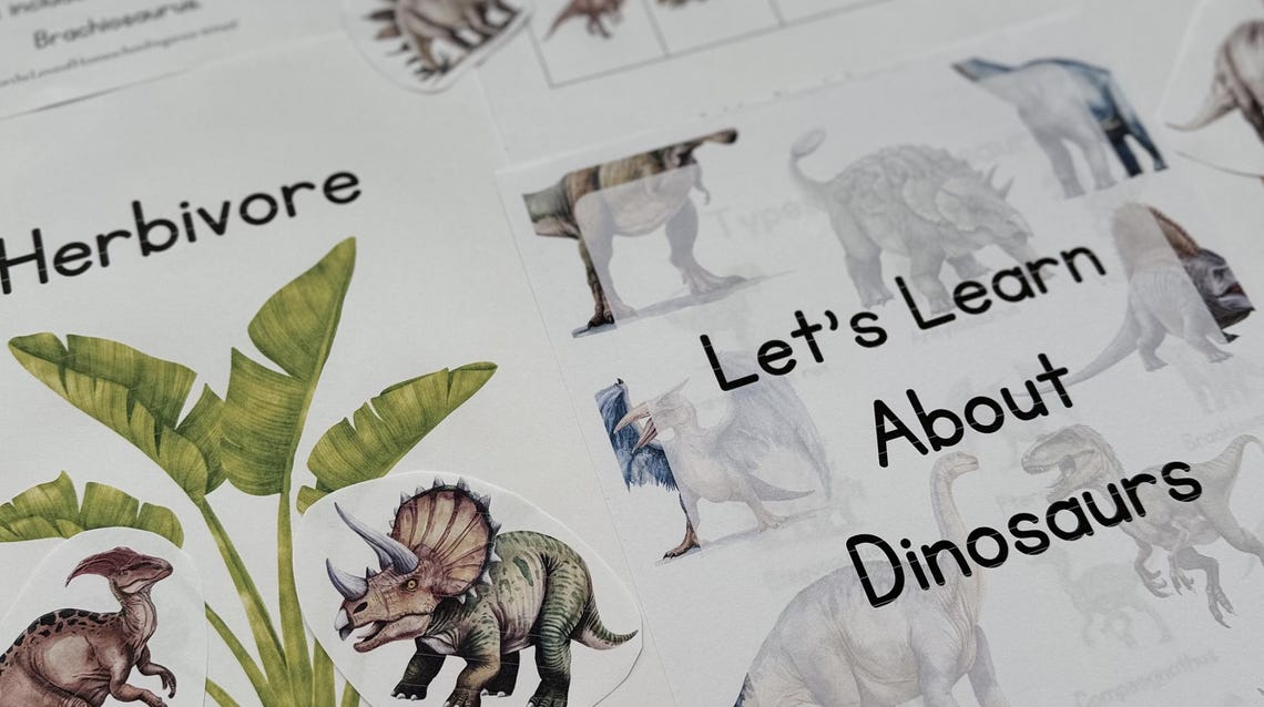 Let's Learn About Dinosaurs - Etsy