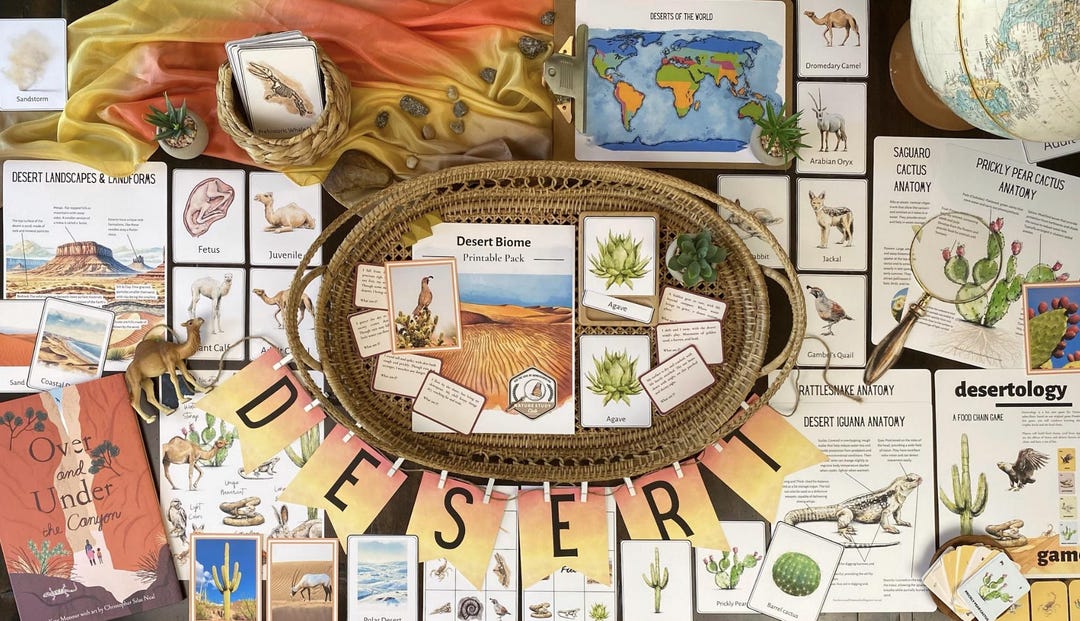 Desert Biome Nature Study - Etsy