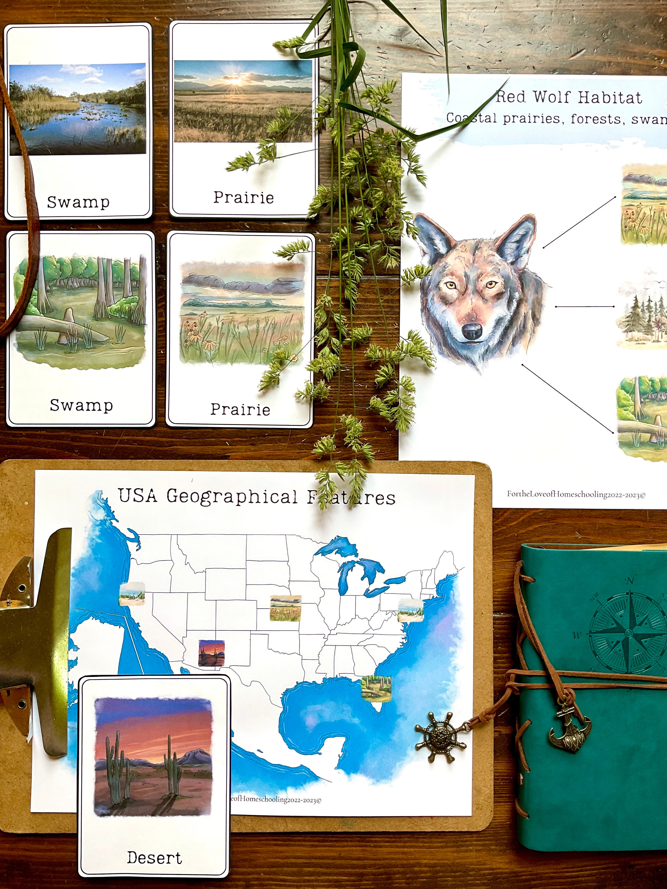 USA Unit Study - Etsy