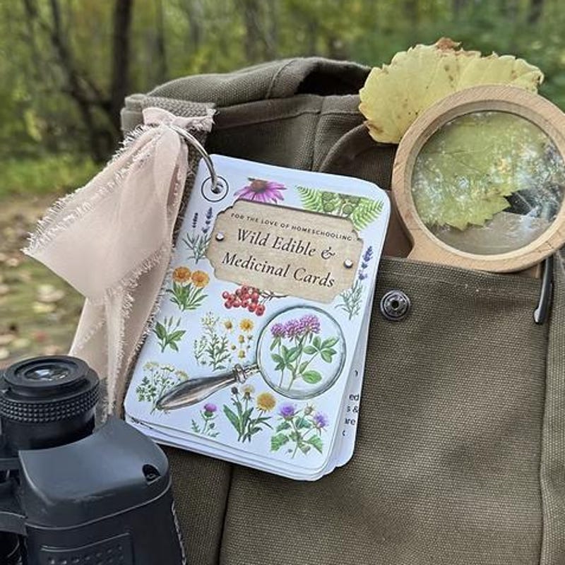Edible Wild Plant Seeds - Etsy UK