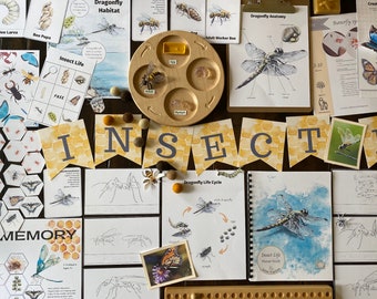 Bug Early Learning Bundle Unit Study for Ages 2-8 Nature Inspired Paly ...