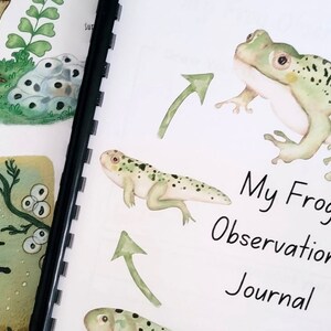 Frog Life Cycle Nature Study - Etsy