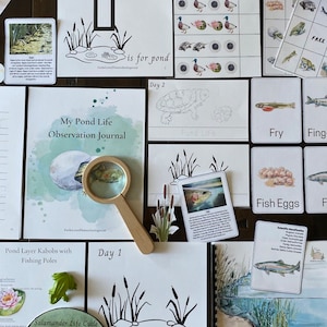 Pond Life Nature Study Unit - Etsy