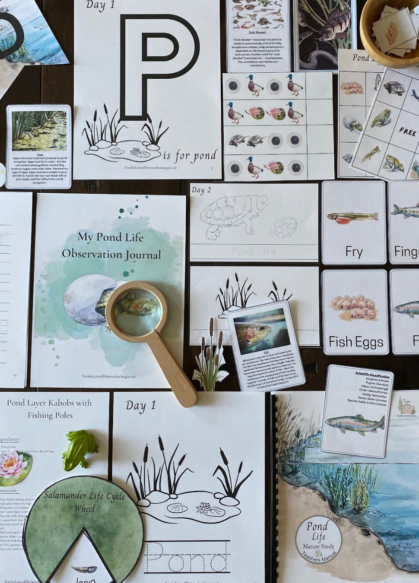Pond Life Nature Study Unit - Etsy