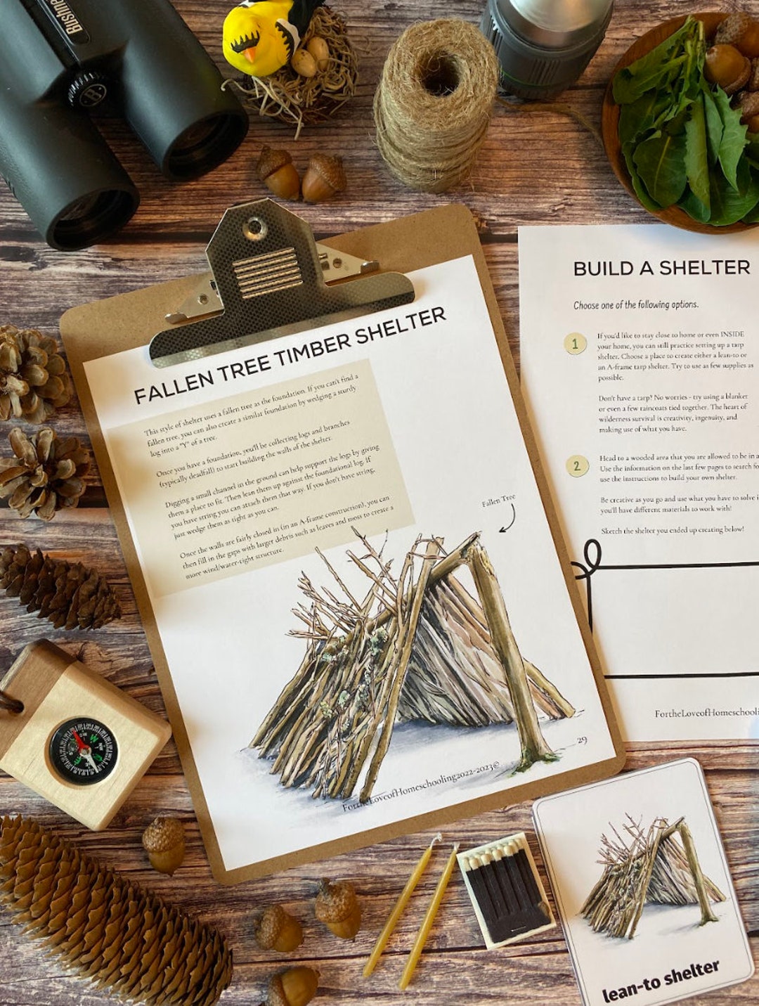 Engineering for Kids: Build A Shelter - Etsy