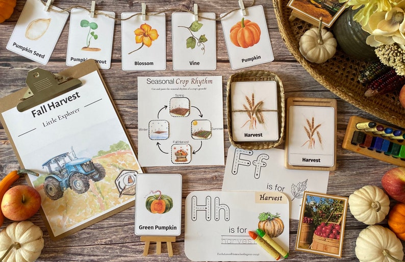 Harvest Nature Study - Etsy