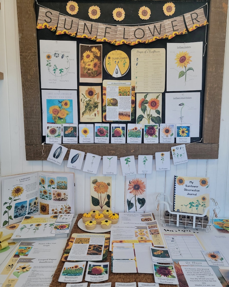 Sunflower Nature Study - Etsy