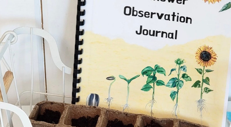 Sunflower Observation Nature Journal - Etsy