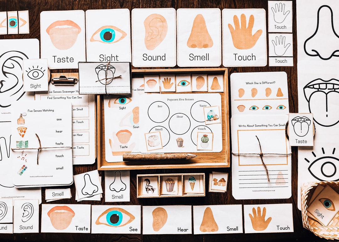 5 Senses Learning Pack - Etsy