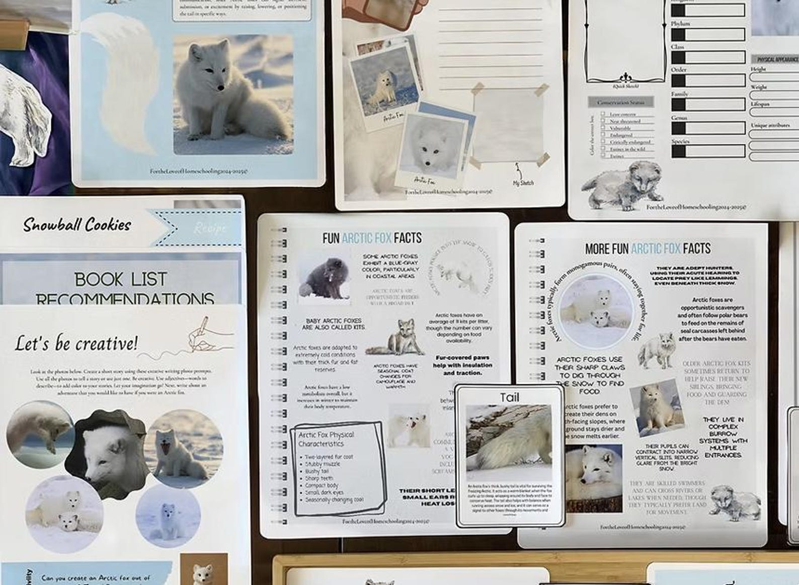 Arctic Fox Nature Study - Etsy
