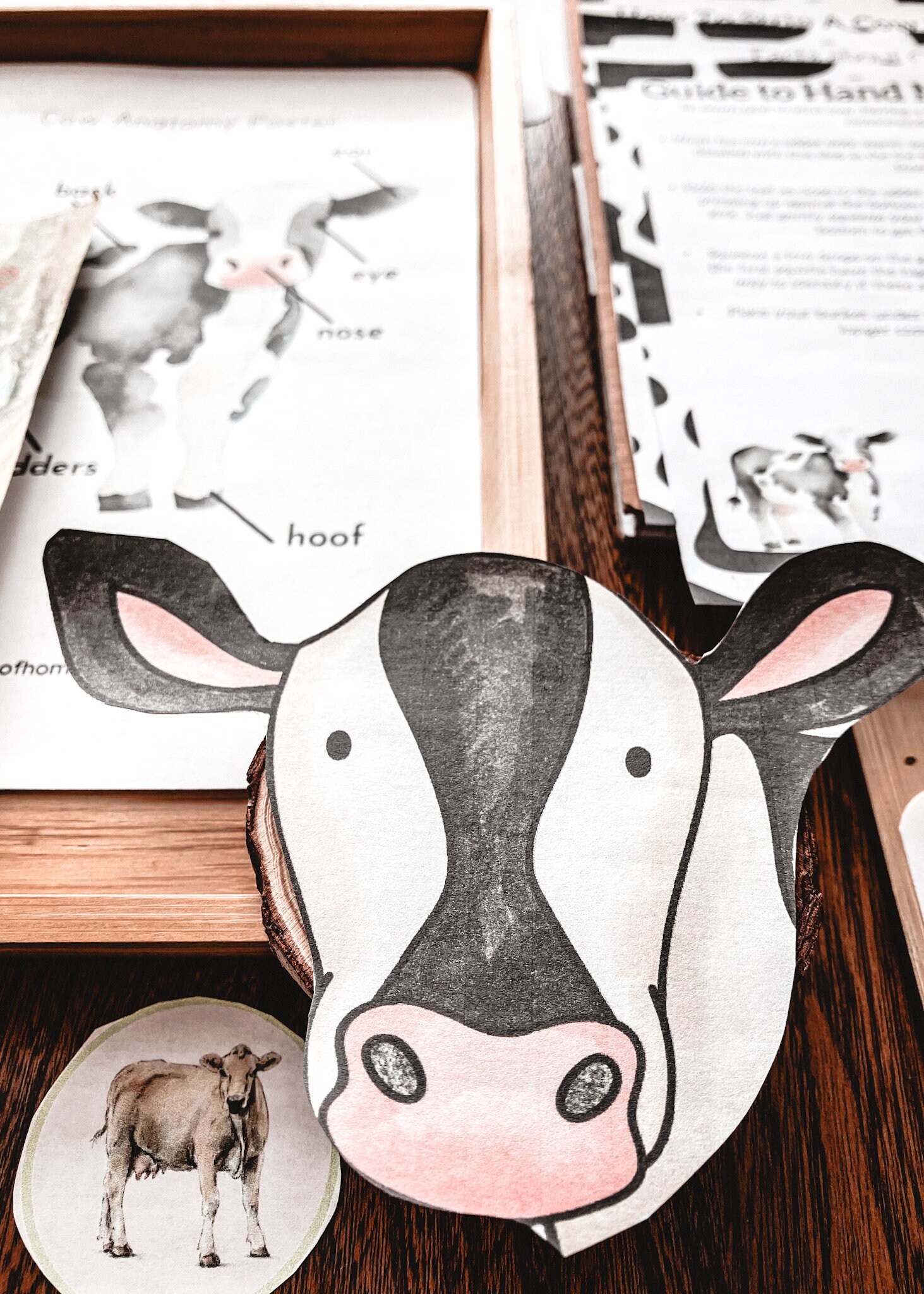 Cow Book Themed Learning Pack - Etsy