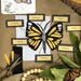 Butterfly Felt Anatomy Pack - Etsy