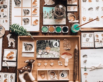 IN THE FOREST Pre-k and K Activity Pack, Homeschool, Digital, Instant ...