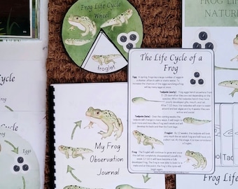 Frog Unit Study Bundle, Frog Life Cycle & Anatomy, Charlotte Mason ...