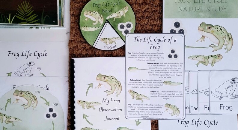 Frog Life Cycle Nature Study - Etsy