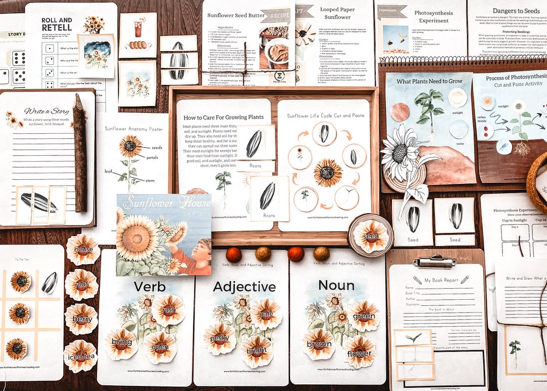 Sunflower Learning Pack - Etsy