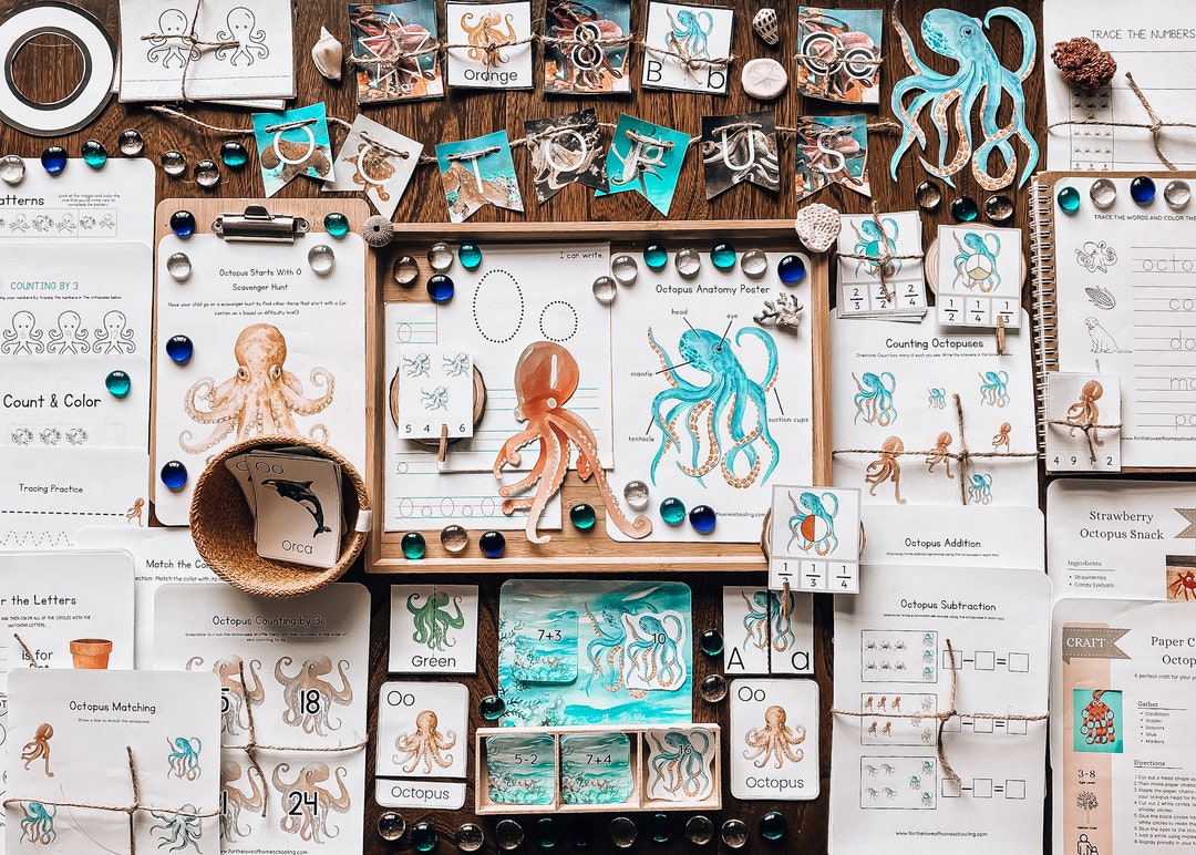 O is for Octopus Early Learning Pack - Etsy