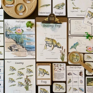 Pond Life Nature Study Unit - Etsy