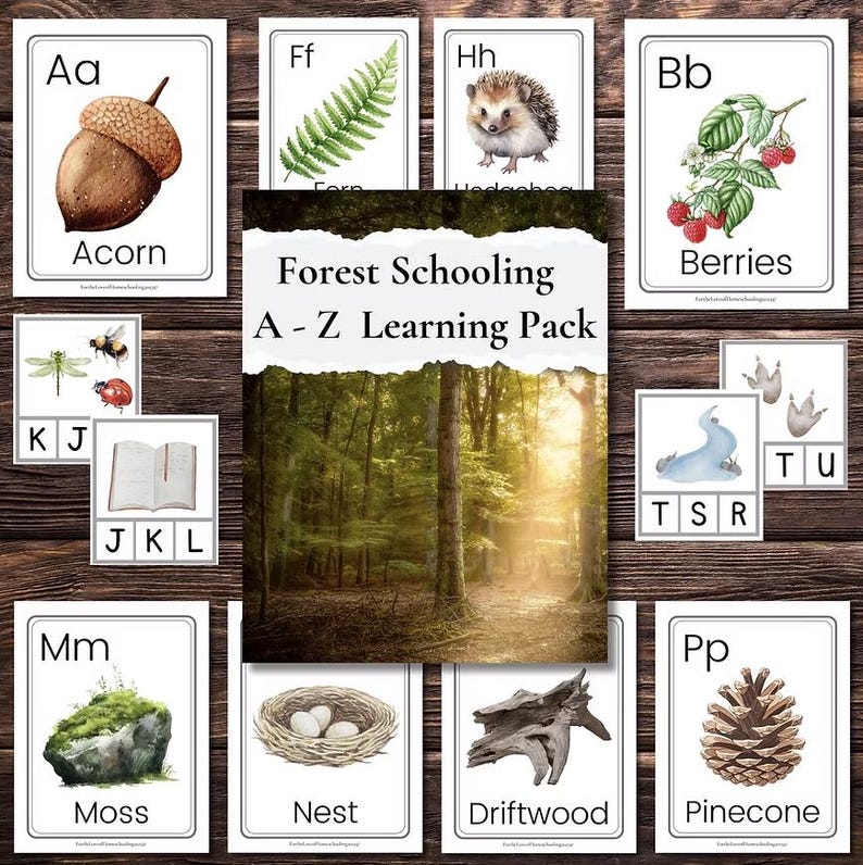 Forestschooling A-Z Learning Pack - Etsy