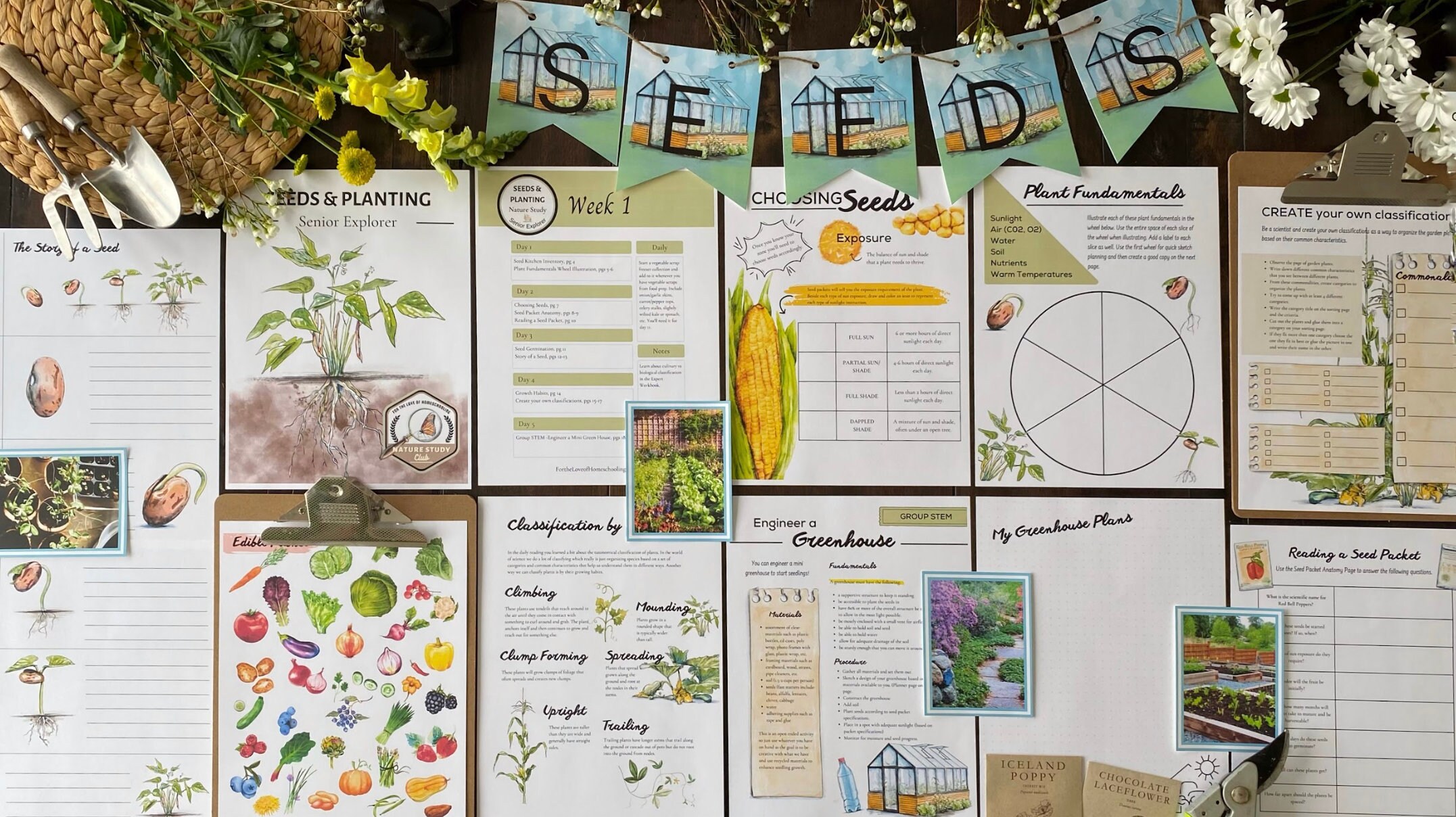 Seeds & Planting Nature Unit - Etsy