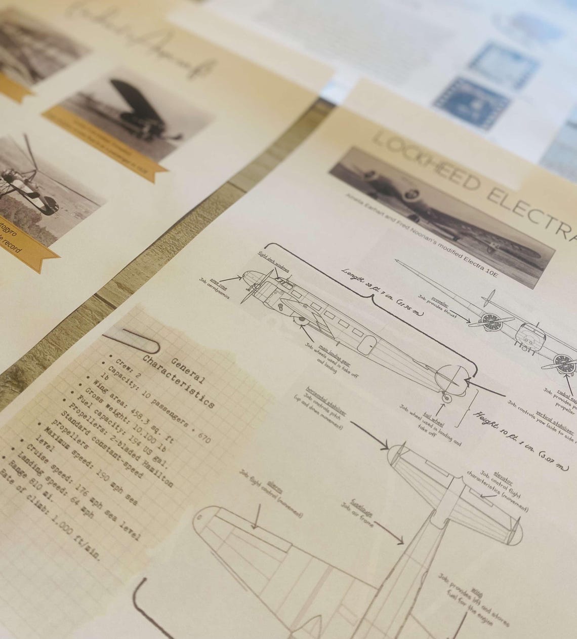 Amelia Earhart Biography Unit - Etsy