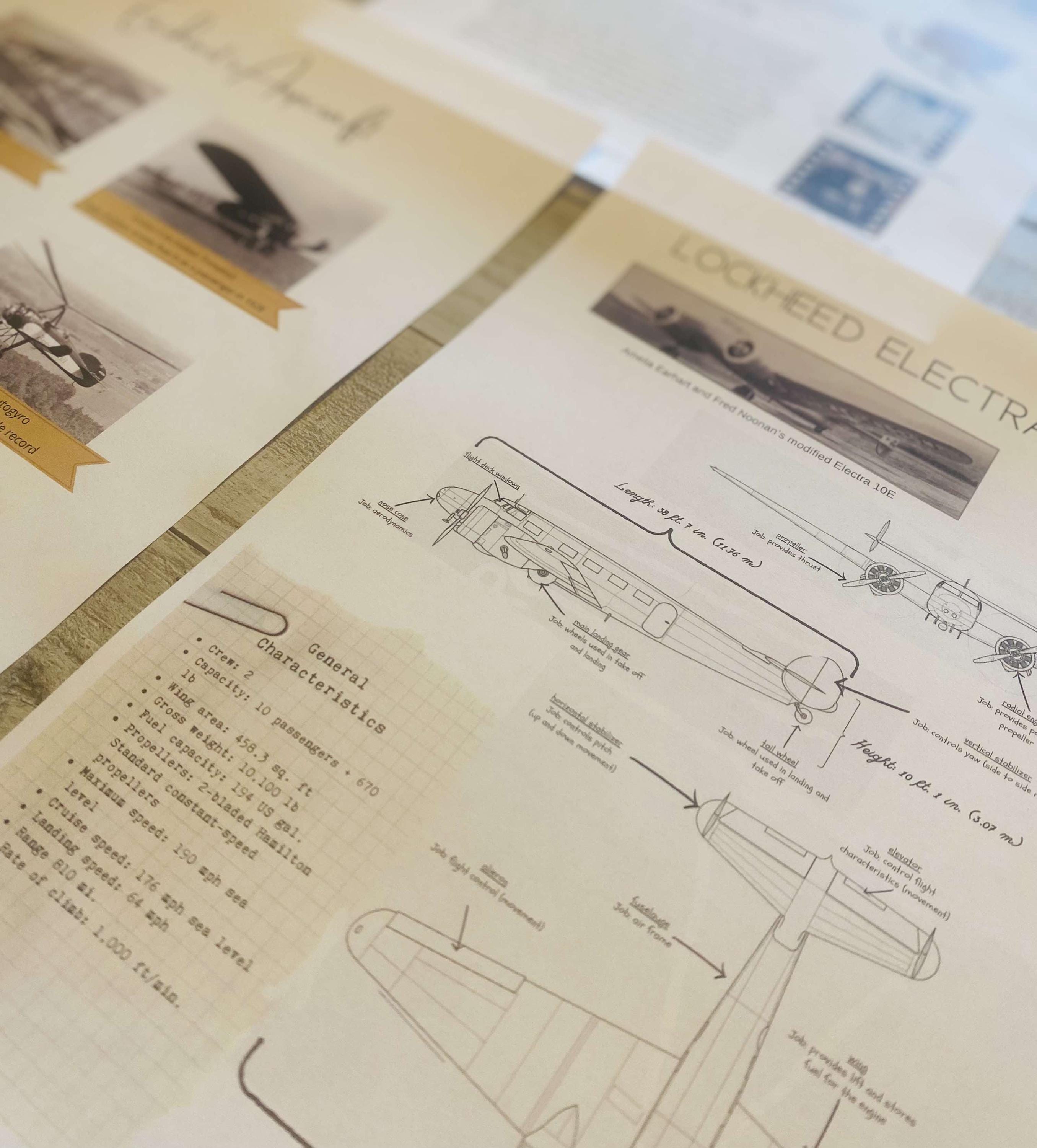 Amelia Earhart Biography Unit - Etsy