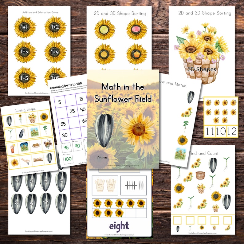 Math in the Sunflower Field - Etsy