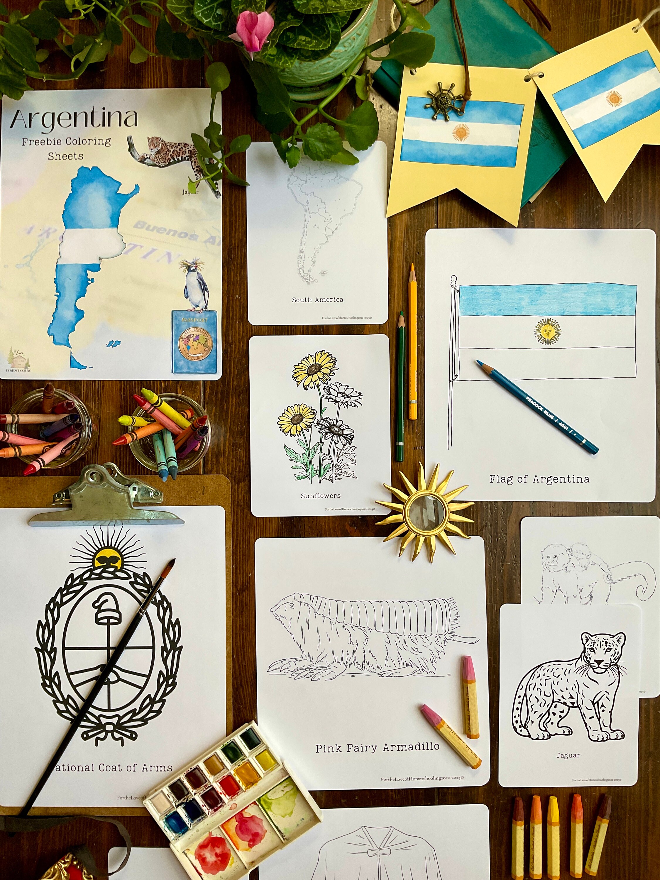 Argentina Unit Study - Etsy